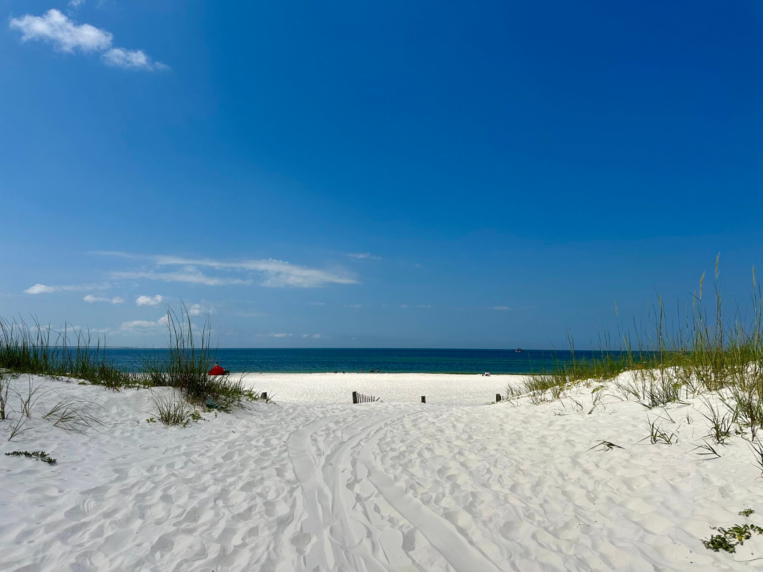 Dead Lakes: Where Still Waters and Wild Florida Meet
