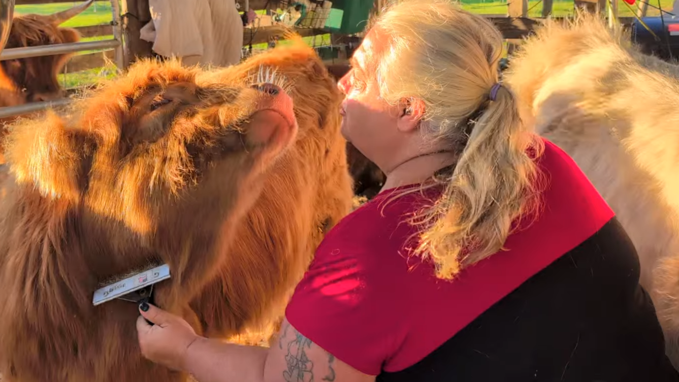 Fluffy Cow Farm at Rooterville Animal Sanctuary