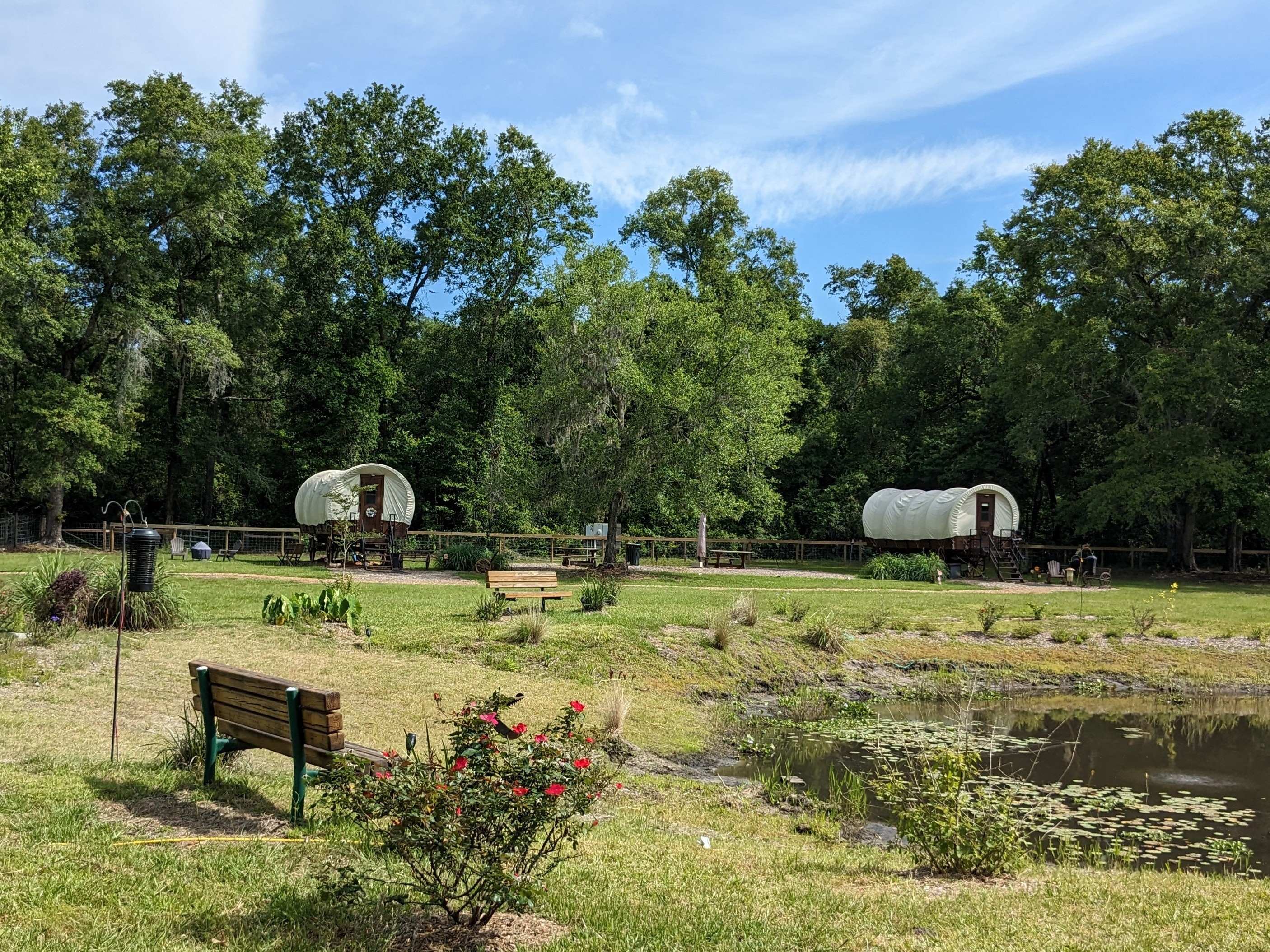 Fluffy Cow Farm at Rooterville Animal Sanctuary
